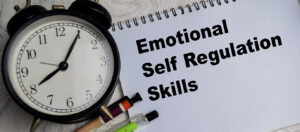 What Is the GDE Matrix? A Guide for UK Driving Instructors