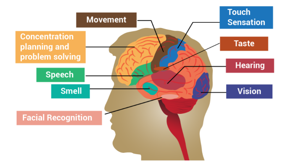 Commentary Driving & Shisa Kanko: Enhancing Focus for Learner Drivers ...